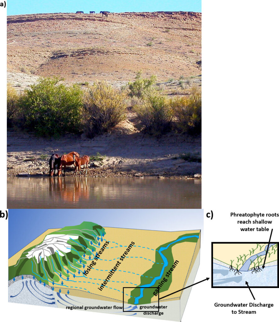 Groundwater Connection with Streams – Groundwater in Our Water Cycle