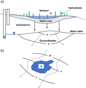 4.2 Influent or Losing Wetland – Groundwater-Surface Water Exchange